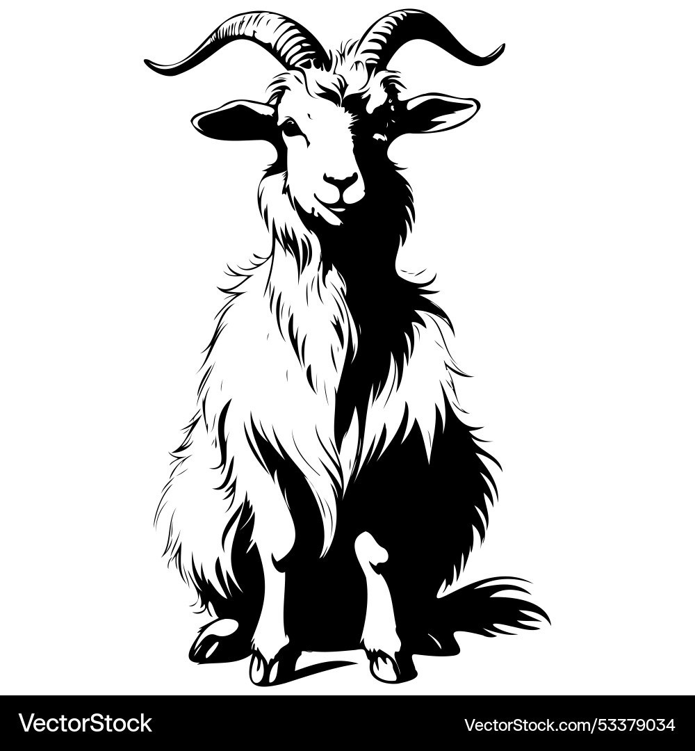 Angora goat sitting realistic ink sketch Vector Image