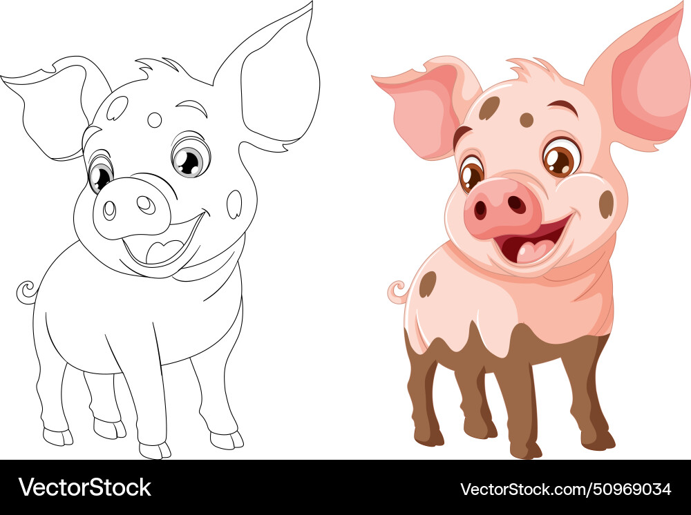 Drawing of a piglet outlined and colored Vector Image