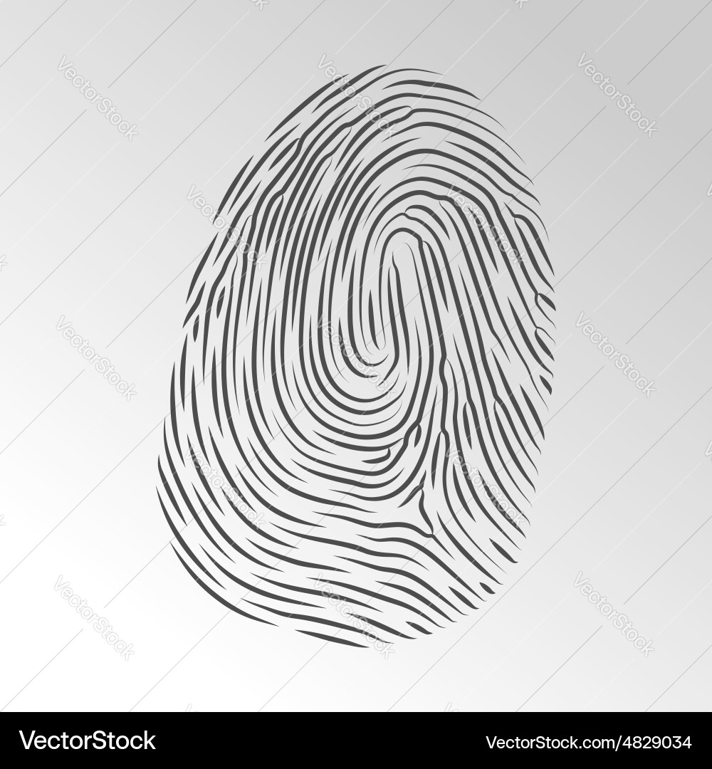 Fingerprint Royalty Free Vector Image - VectorStock