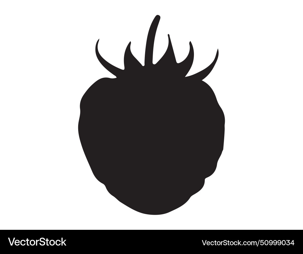 Raspberry silhouette art Royalty Free Vector Image