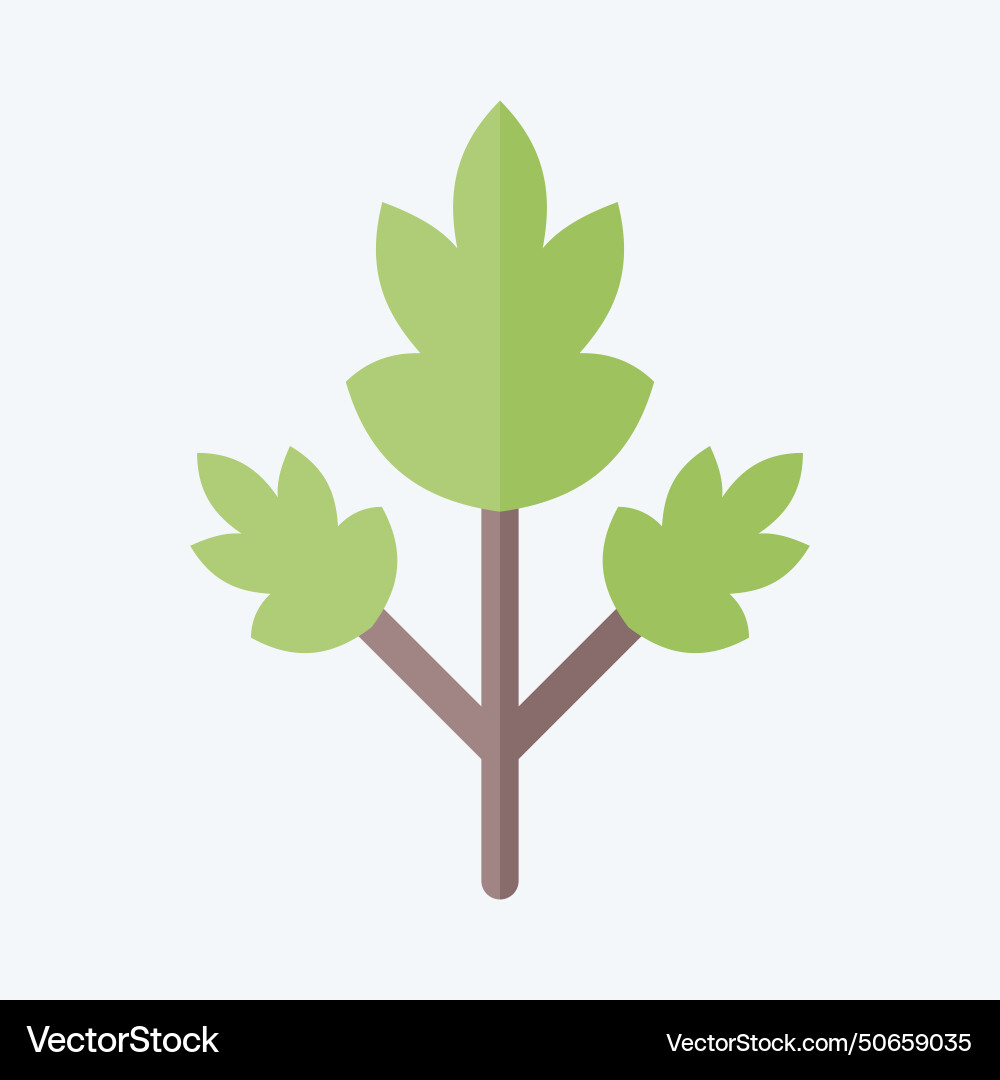 Icon parsley related to spice symbol flat style Vector Image