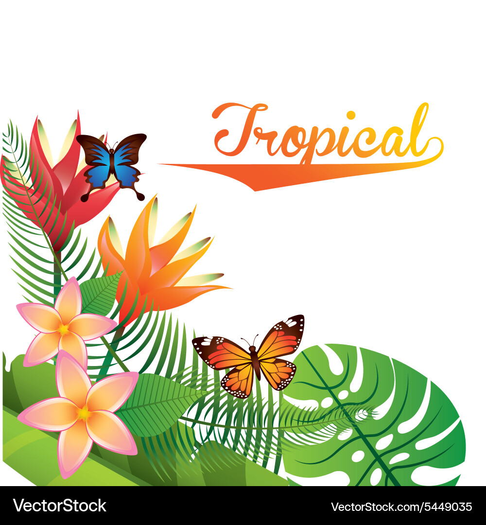 Tropical nature Royalty Free Vector Image - VectorStock