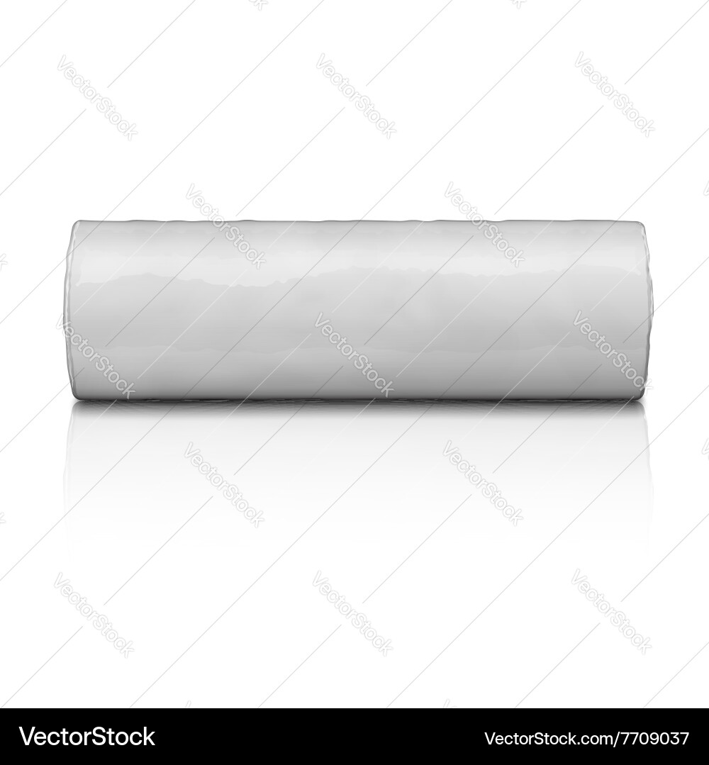 Cylinder package of biscuits Royalty Free Vector Image
