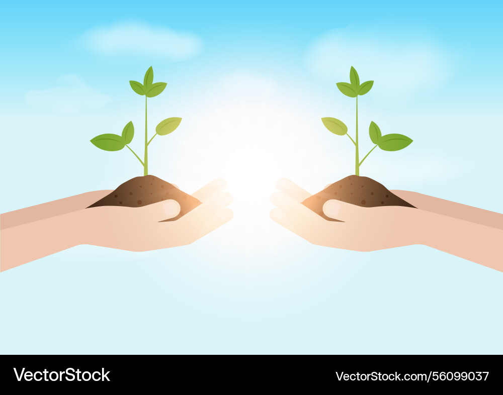 Planting tree growing plant Royalty Free Vector Image