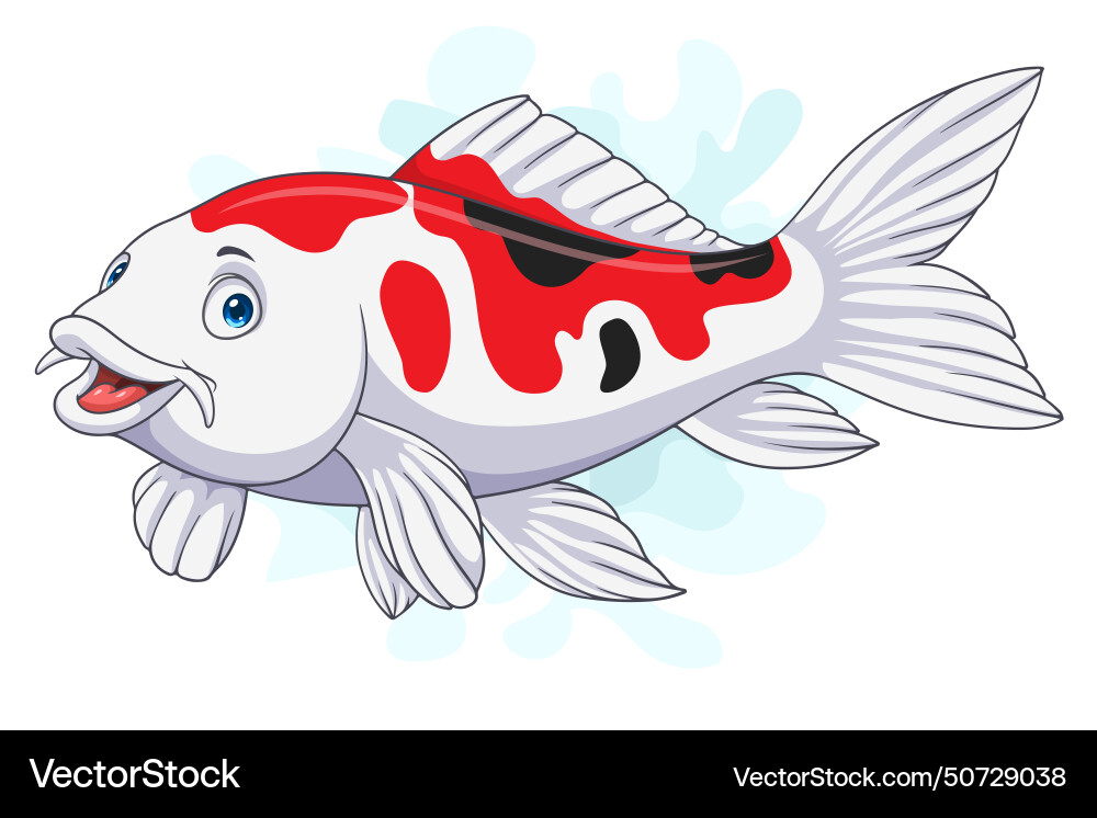 Cartoon funny koi fish on white background Vector Image