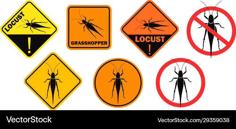 Grasshopper Royalty Free Vector Image - VectorStock