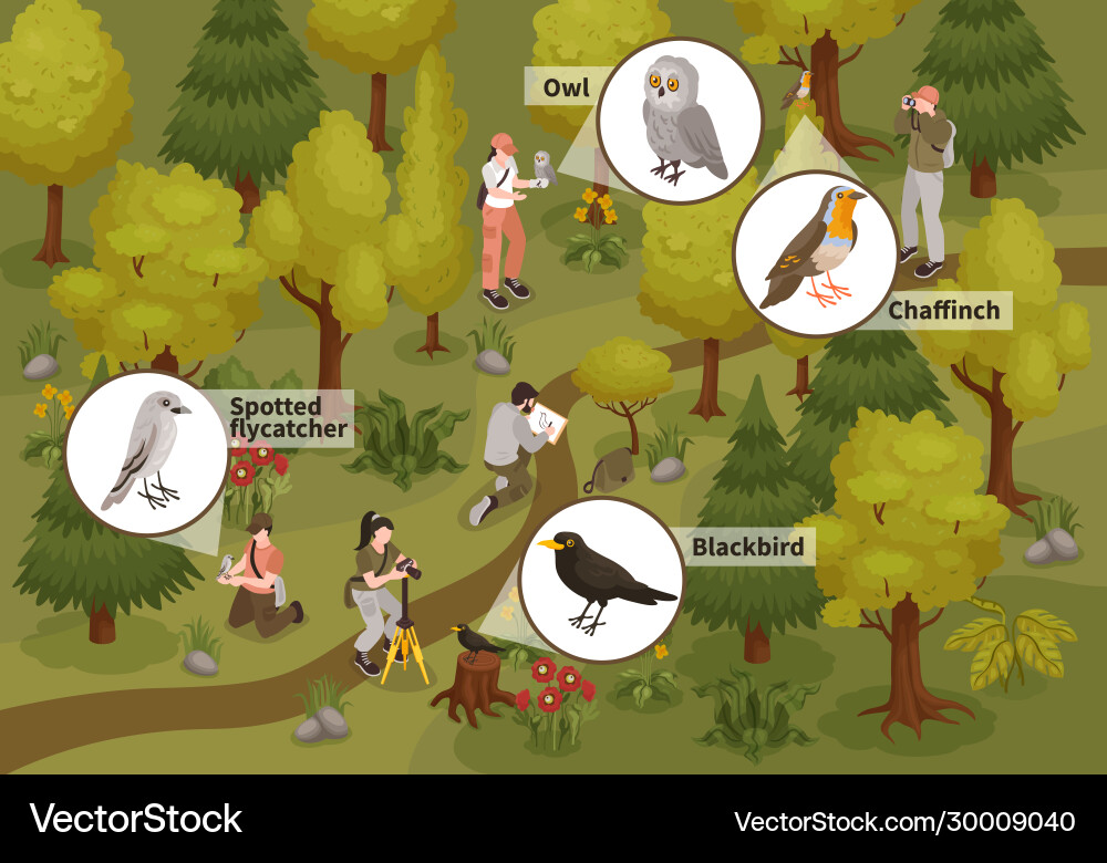 Ornithologist birds isometric composition Vector Image