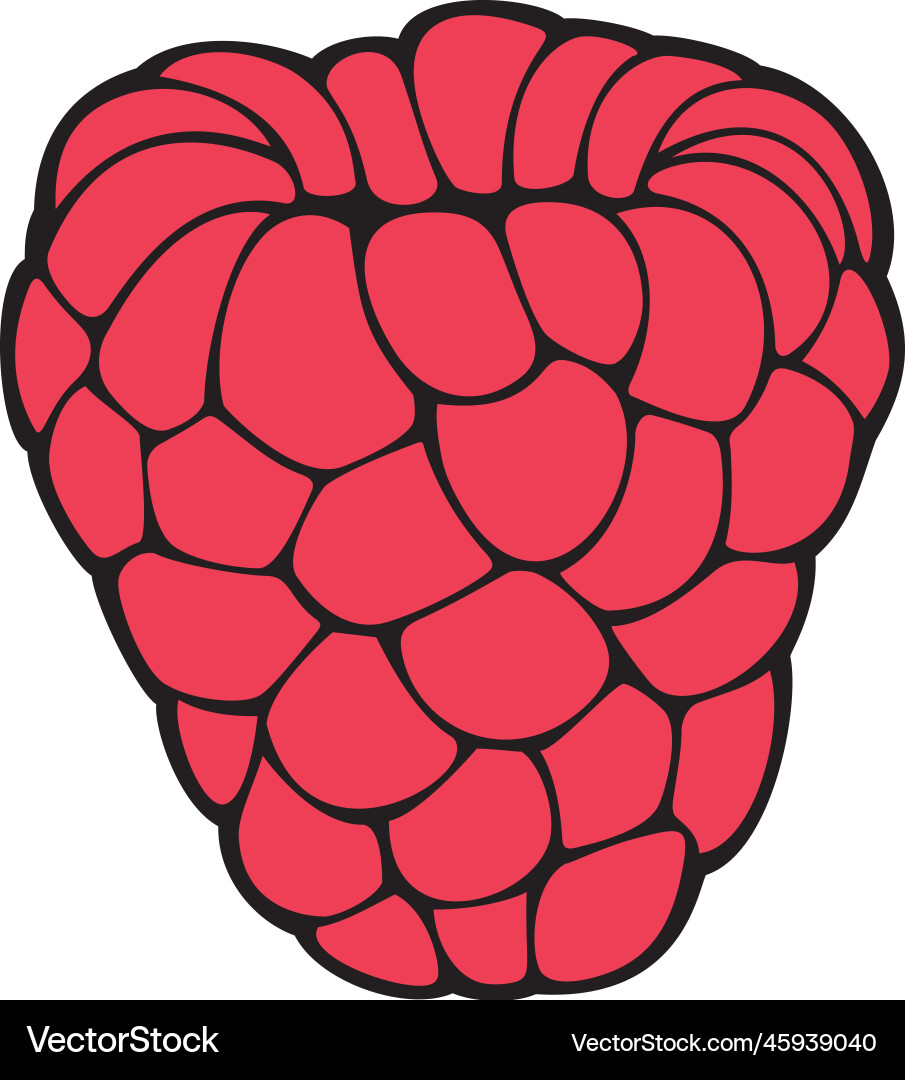 Raspberry fruit color Royalty Free Vector Image
