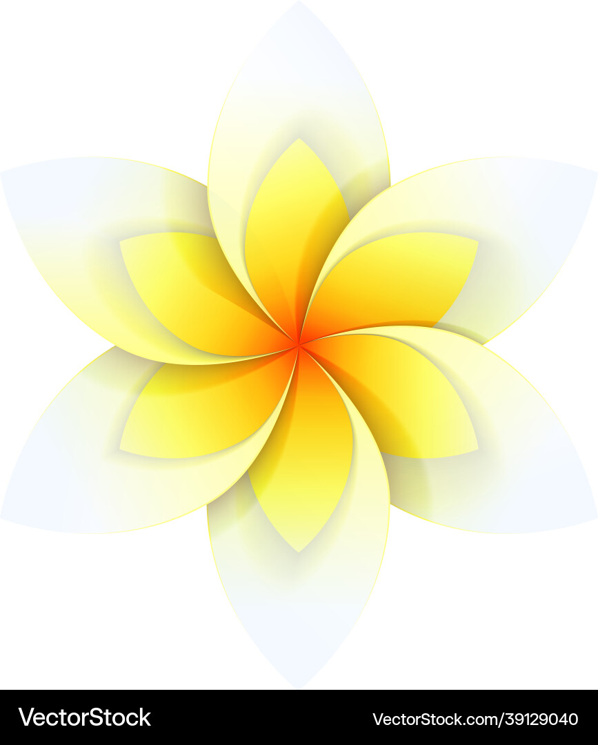 Realistic paper flower Royalty Free Vector Image