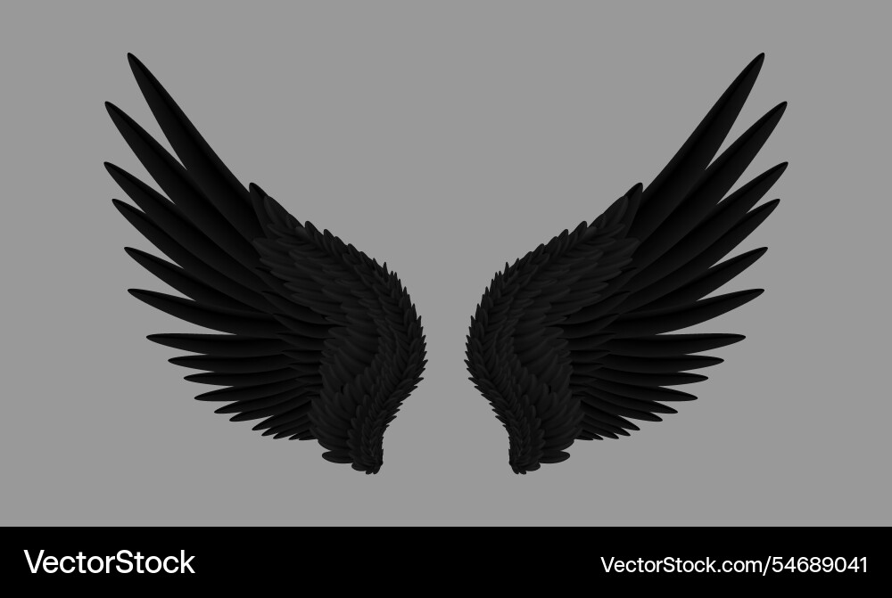 Realistic pair of black feathered wings Royalty Free Vector