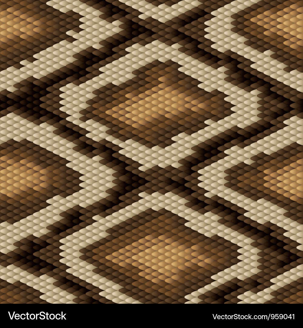 Seamless python snake skin pattern Royalty Free Vector Image