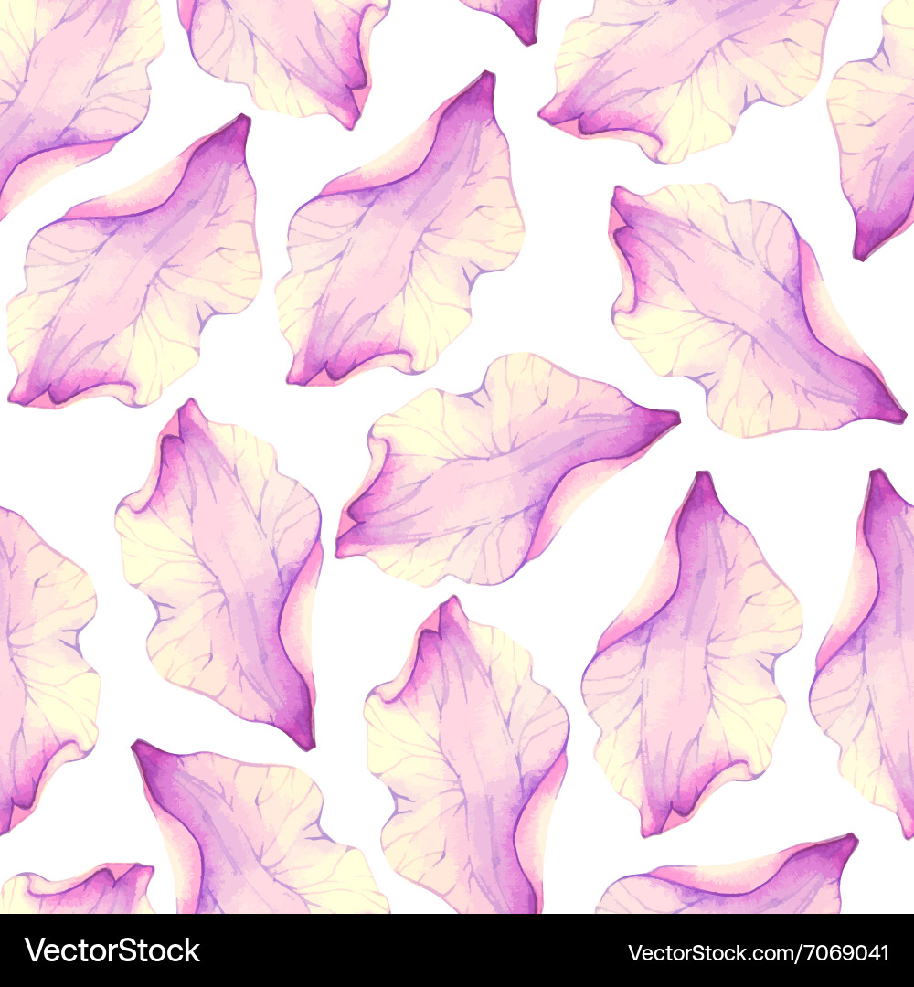 Watercolor drawing Royalty Free Vector Image - VectorStock