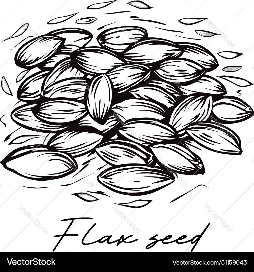 Flax seed hand drawn black and white Royalty Free Vector