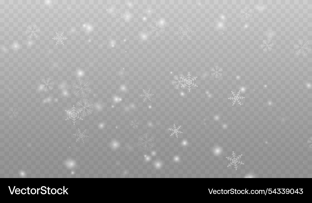 Realistic falling snow Royalty Free Vector Image