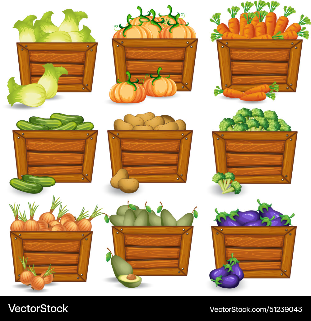 Various fresh vegetables in rustic wooden boxes Vector Image