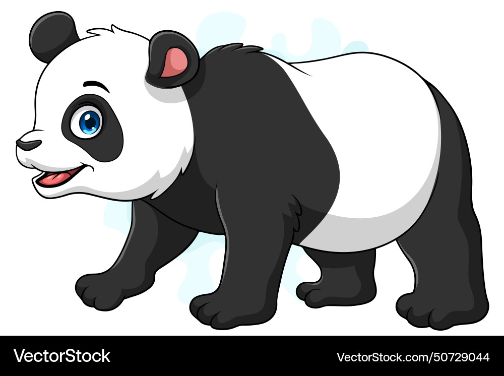Cartoon panda on white background Royalty Free Vector Image