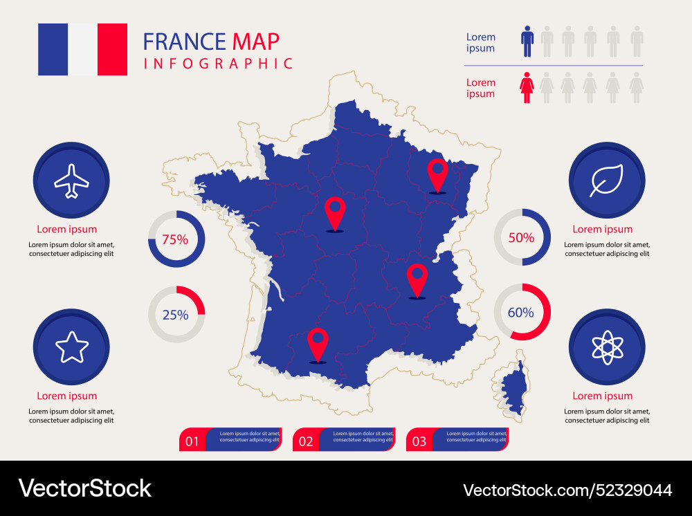 Flat france map infographic Royalty Free Vector Image