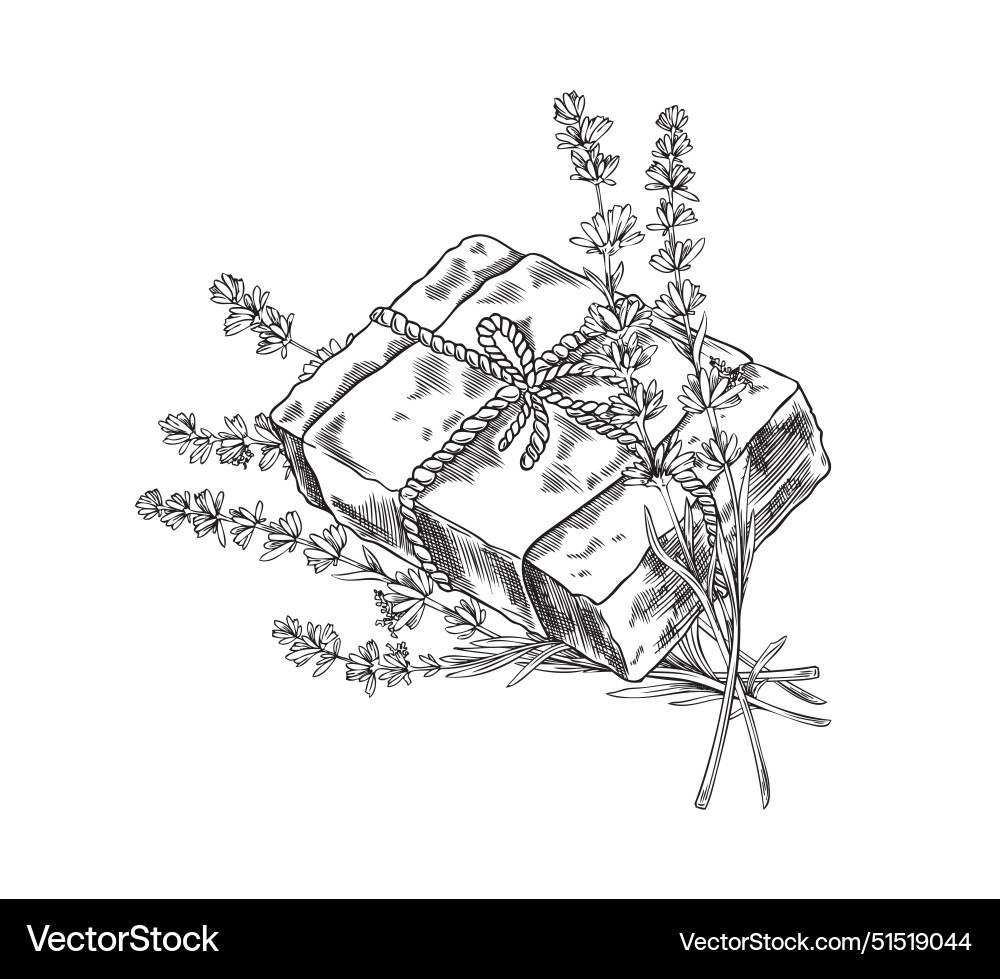 Handmade soap with of lilac Royalty Free Vector Image