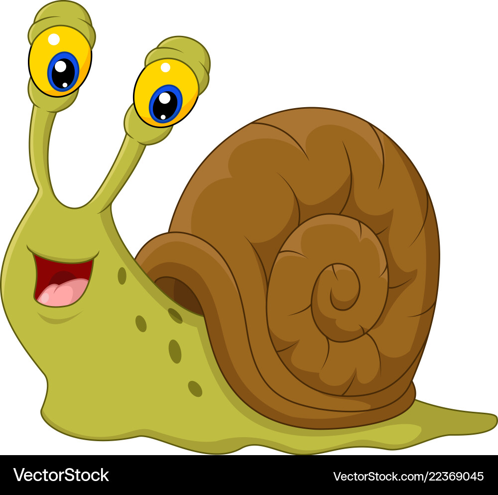 Cute snail cartoon isolated on white background Vector Image