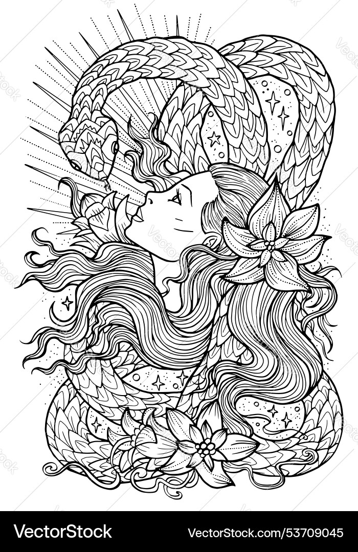 Hand drawn line art with snake Royalty Free Vector Image