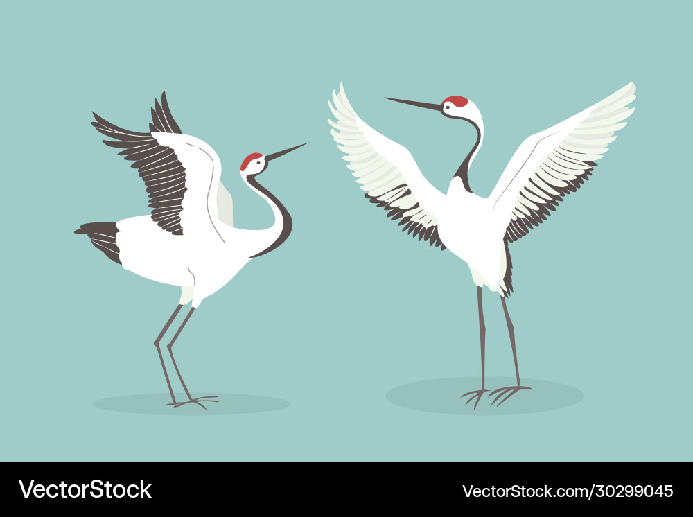 Red crowned crane flaps wings cartoon Royalty Free Vector