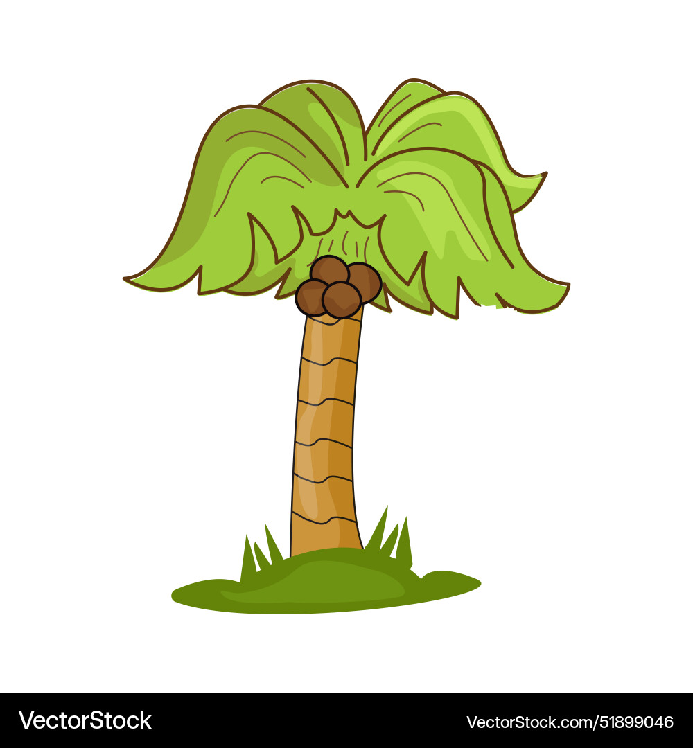 Tropical palm trees isolated on white background Vector Image