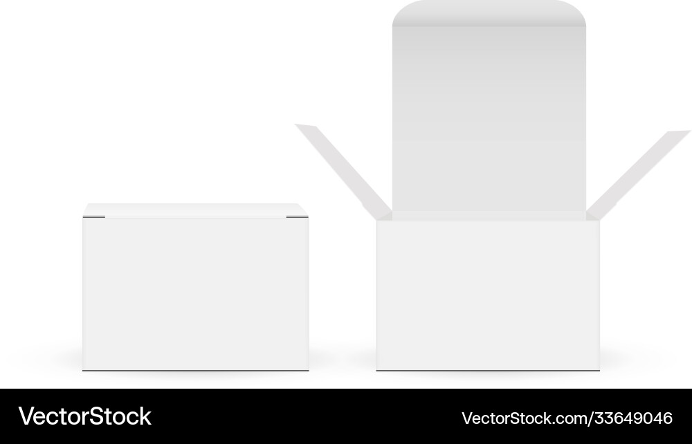 Two square cosmetic boxes front view Royalty Free Vector