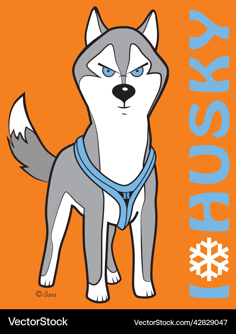 Siberian husky dog male Royalty Free Vector Image