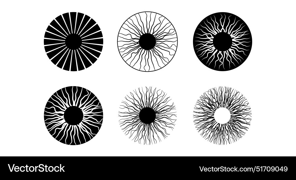 Iris medical poster Royalty Free Vector Image - VectorStock