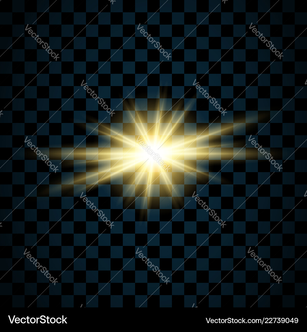 Sparkle gold star isolated transparent background Vector Image