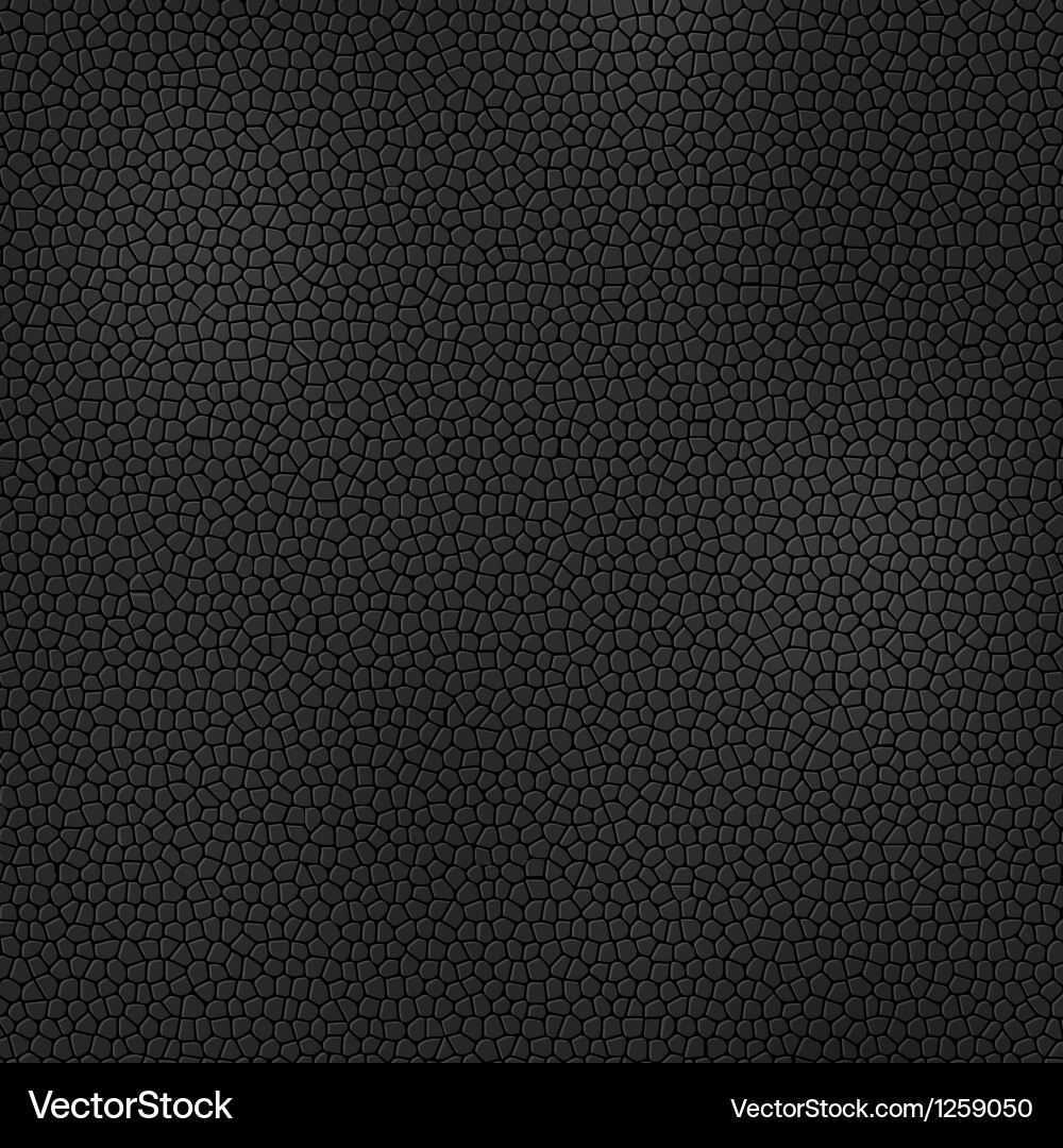 Black leather texture Royalty Free Vector Image