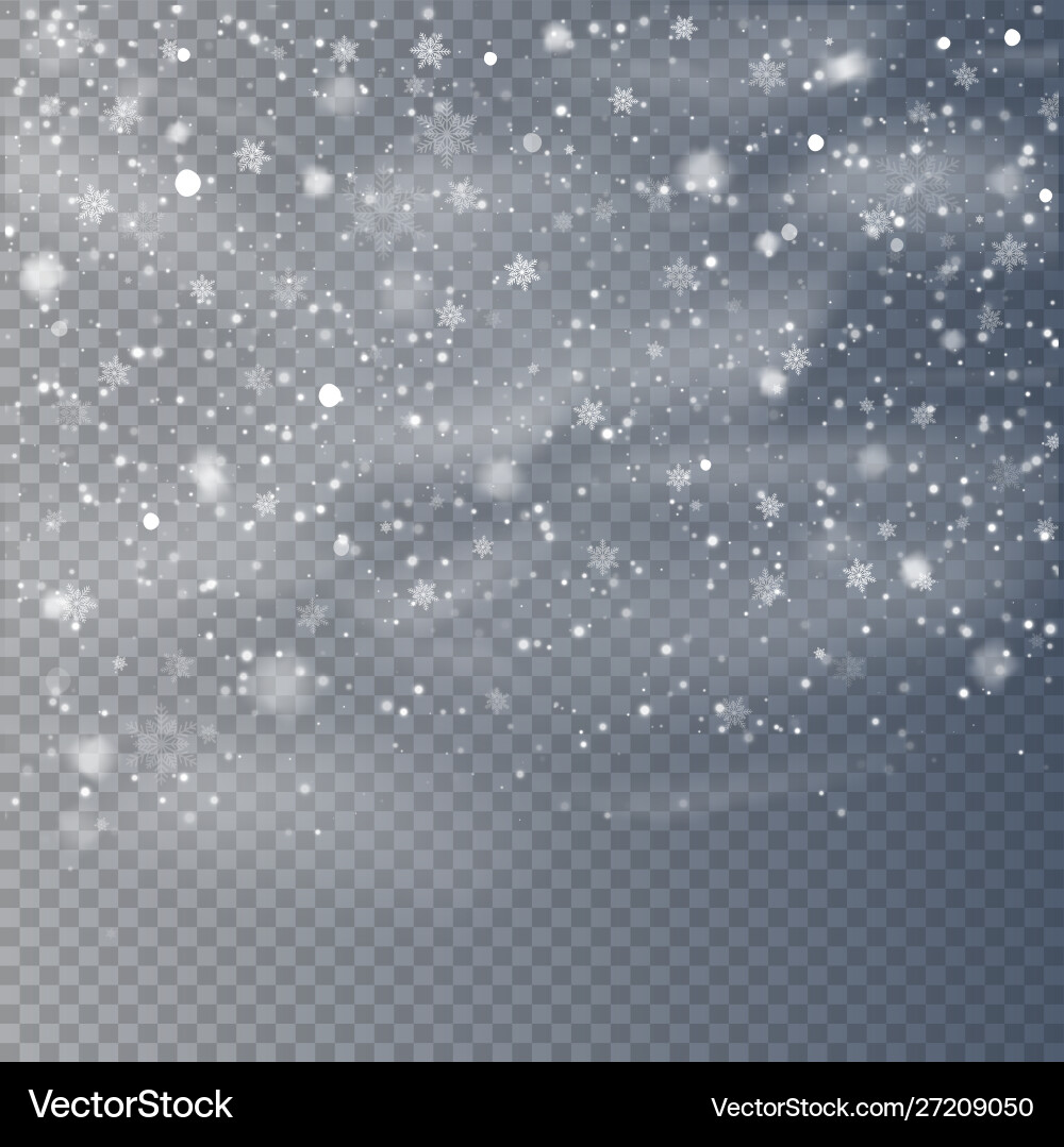 Falling snow overlay background Royalty Free Vector Image