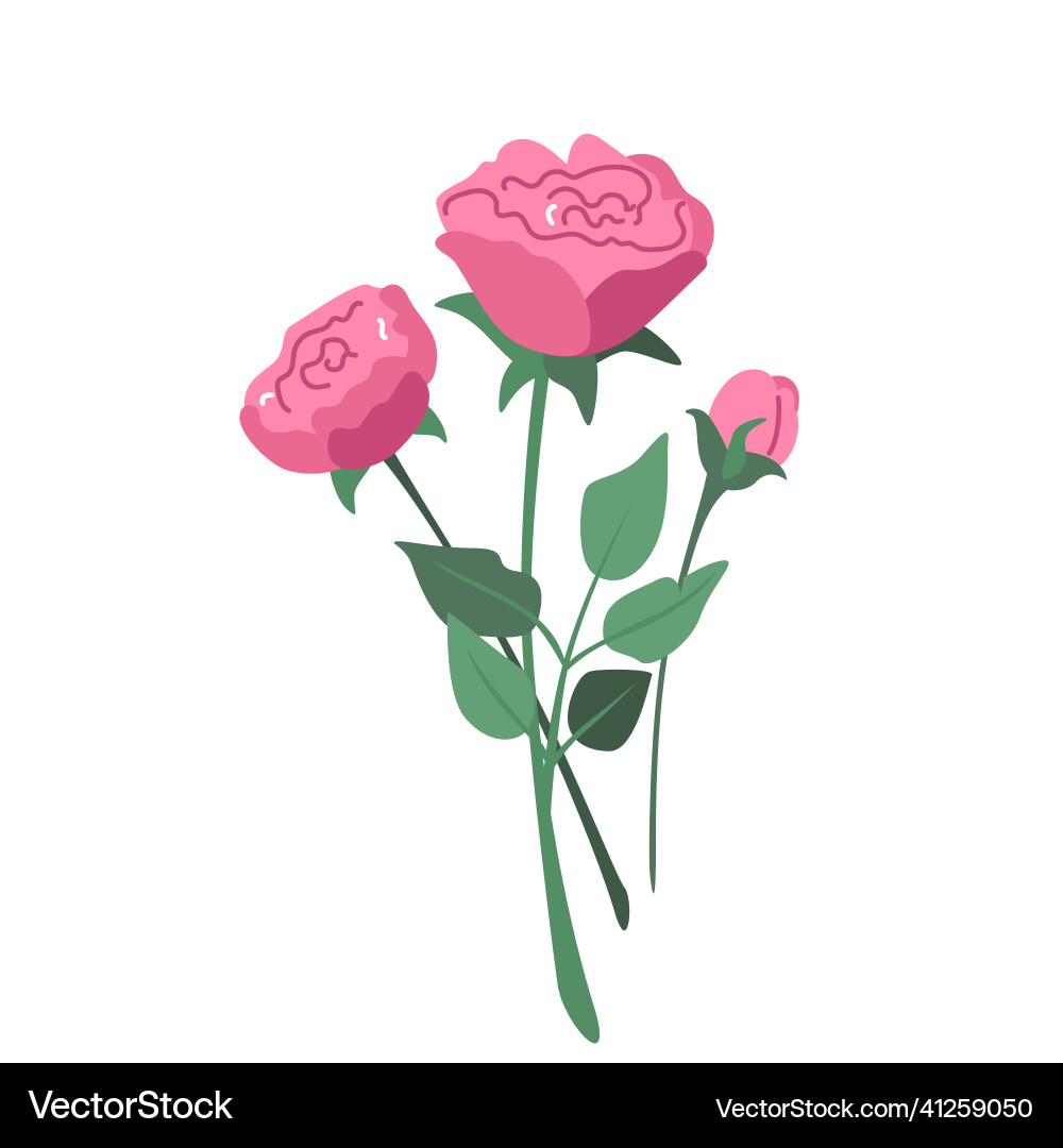 Rose flower isolated on white Royalty Free Vector Image