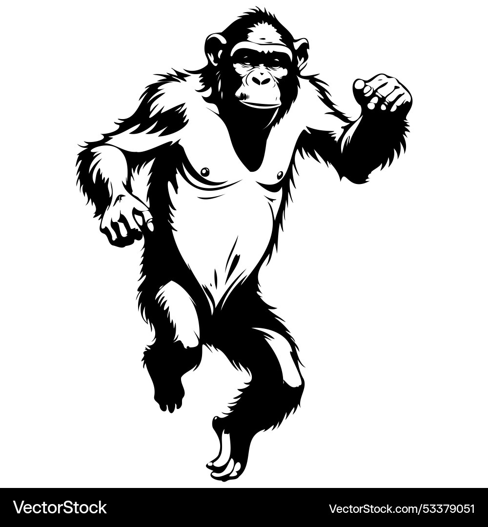 Ape jumps hand drawn animal transparent Royalty Free Vector