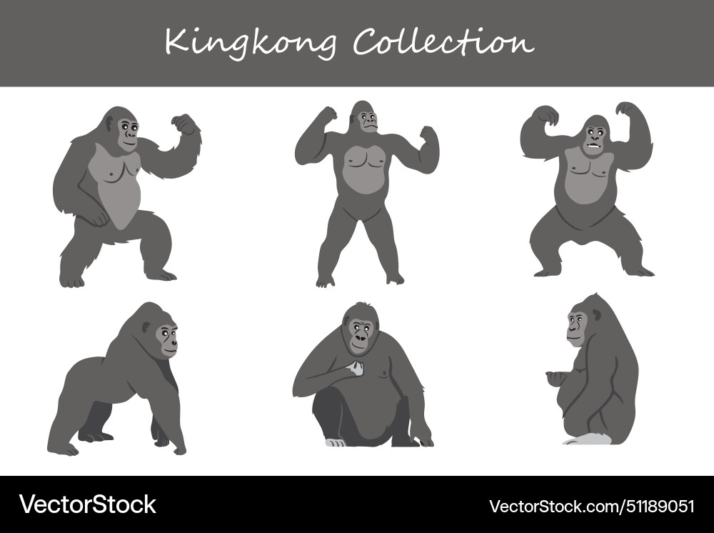 Kingkong collection in different poses Royalty Free Vector
