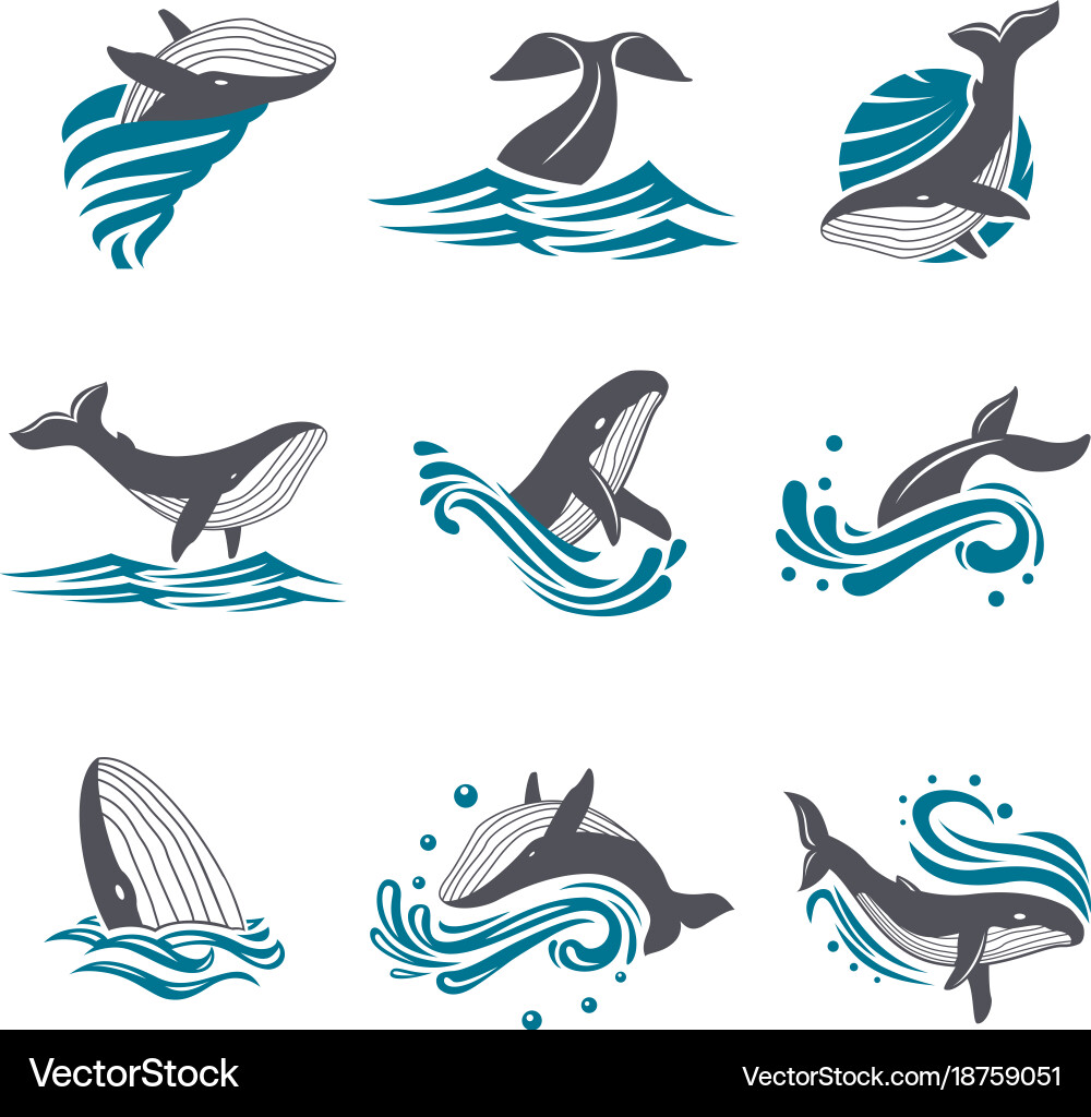 Whale among sea waves and splashes icon set Vector Image