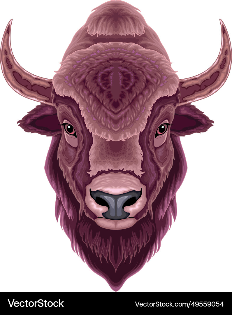 Bison head isolated animal Royalty Free Vector Image