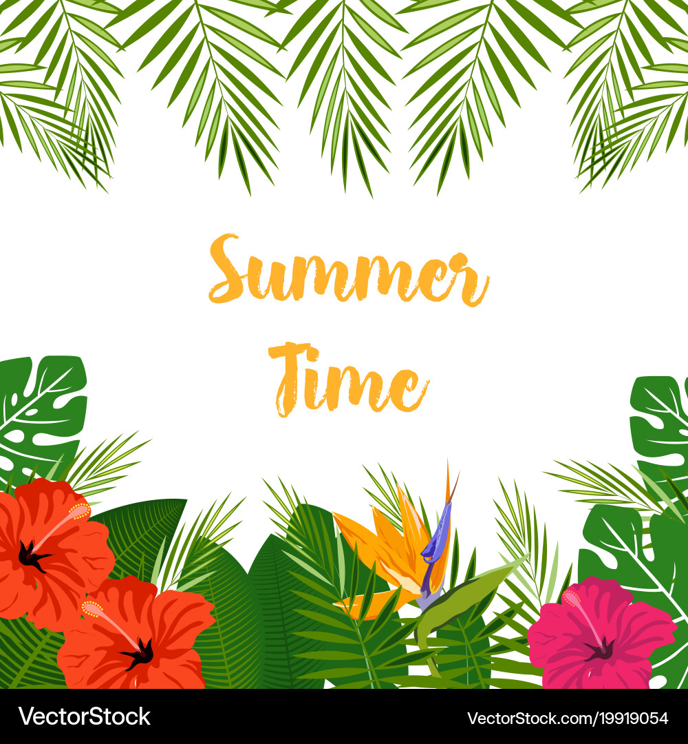 Tropical summer banner Royalty Free Vector Image