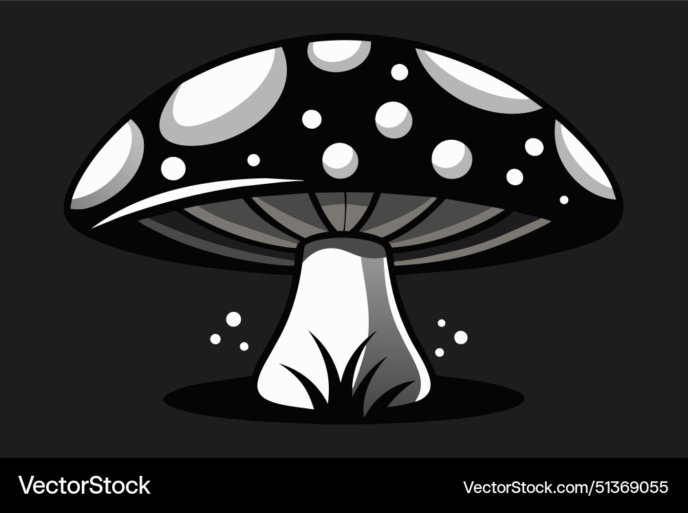 Exploring magic mushrooms benefits effects Vector Image