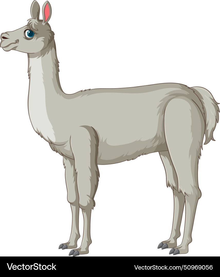 A single llama in profile Royalty Free Vector Image