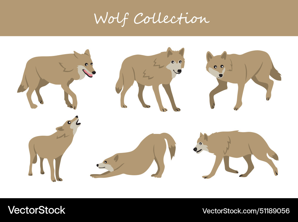 Wolf collection in different poses Royalty Free Vector Image
