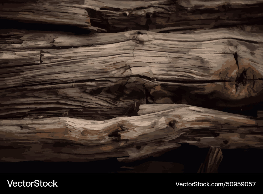 Dark abstract brown old wood texture eps 10 Vector Image