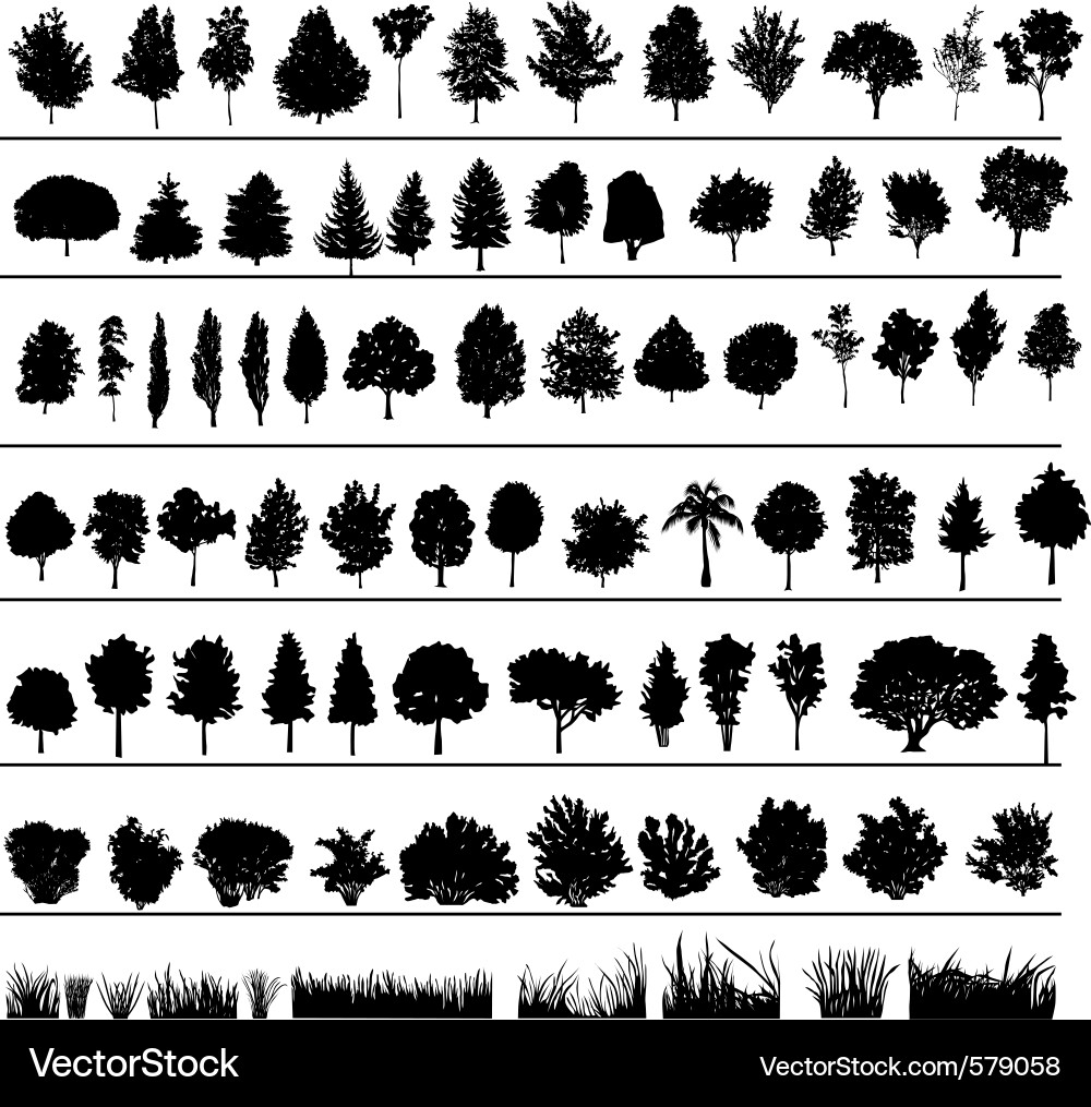 Forest Outline Vector Images (over 100,000)