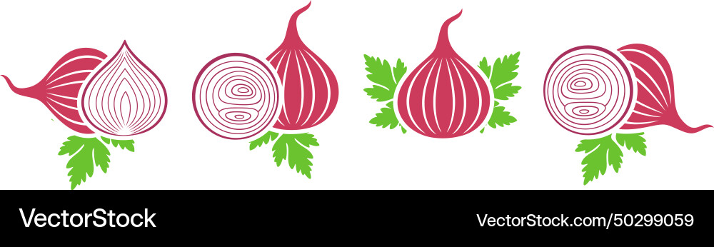 Onion Royalty Free Vector Image - VectorStock