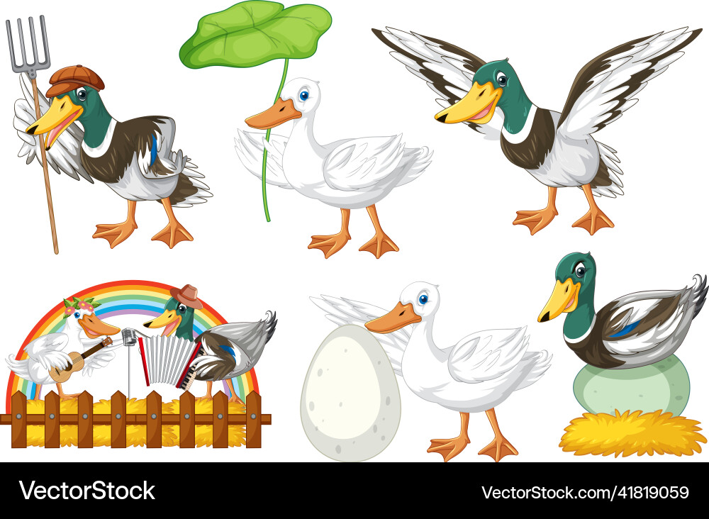 Set of different poses ducks cartoon characters Vector Image