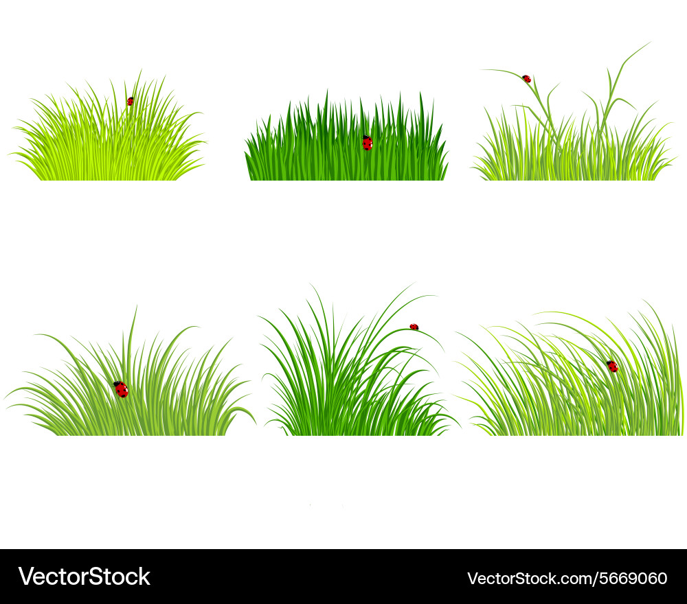 211 Royalty Free Vector Image - VectorStock