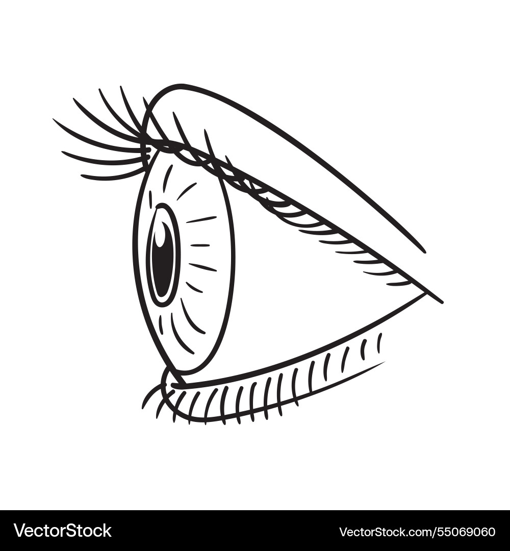 Doodle of a side view eye Royalty Free Vector Image