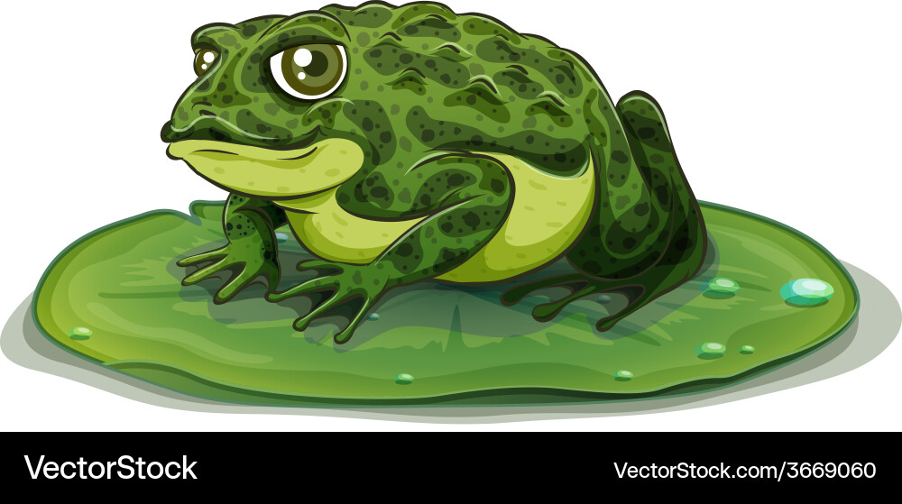 Frog Royalty Free Vector Image - VectorStock