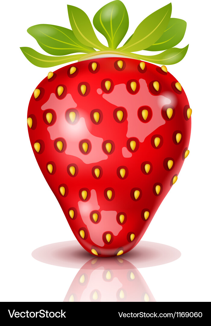 Strawberry isolated Royalty Free Vector Image - VectorStock
