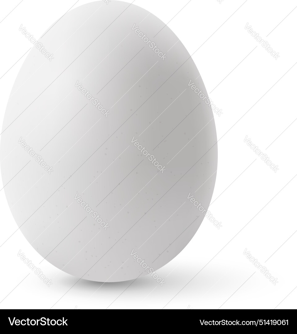 Chicken egg Royalty Free Vector Image - VectorStock